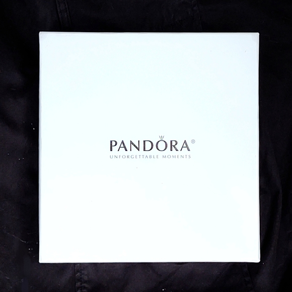 Pandora | Jewelry | Pandora Large Leather Jewelry Carrier New In Box ...